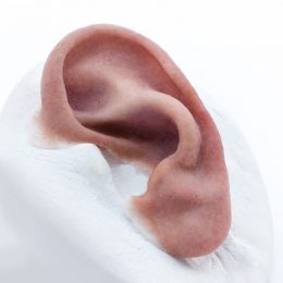 Ohrepithese - Institut für Anaplastologie